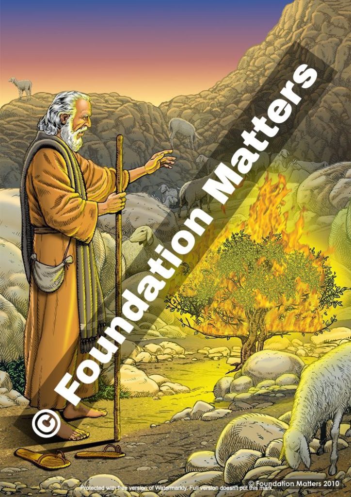 Creation to Christ Bible Picture Set - Bible Store