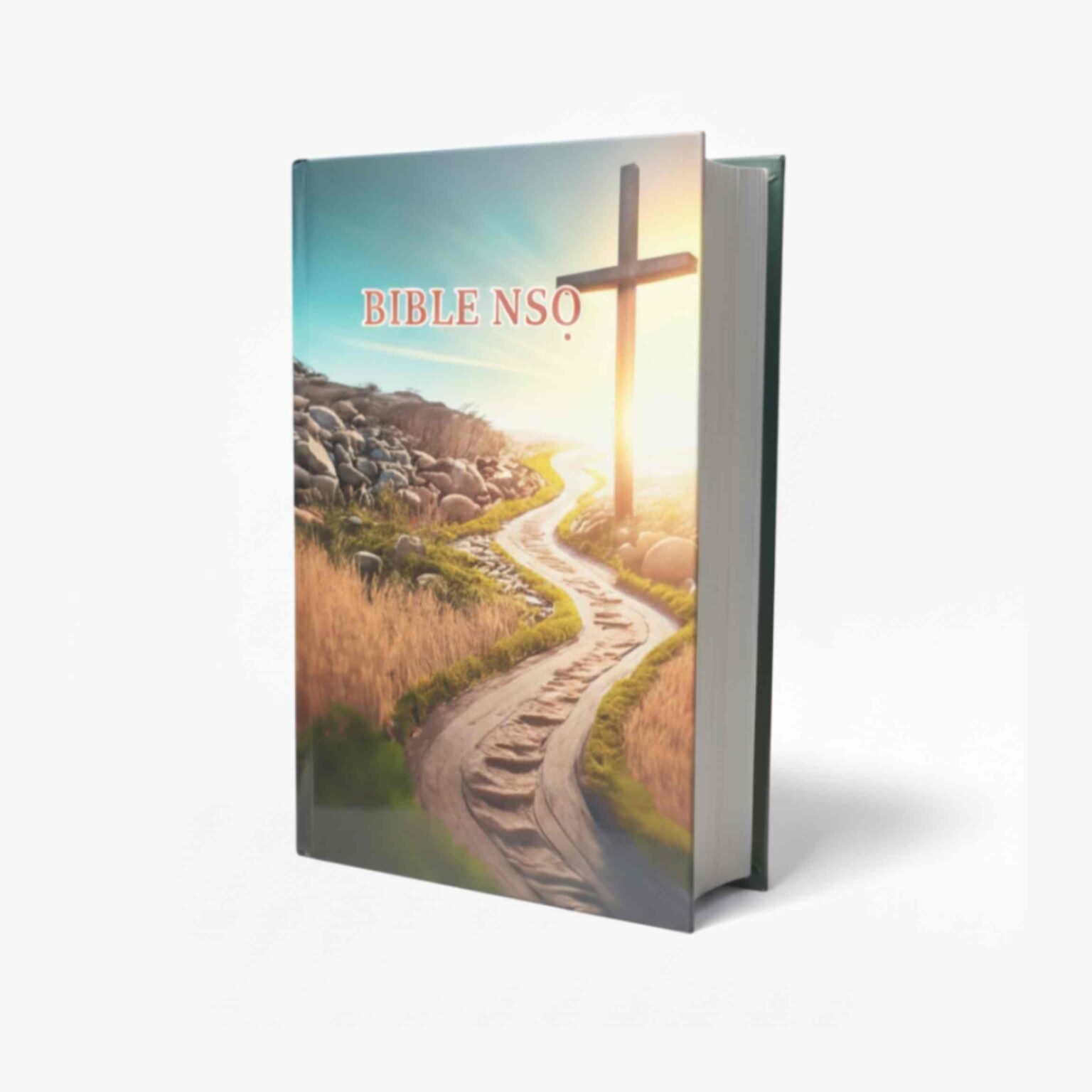 Bible Store | Buy Quality & Affordable Bibles in Nigeria